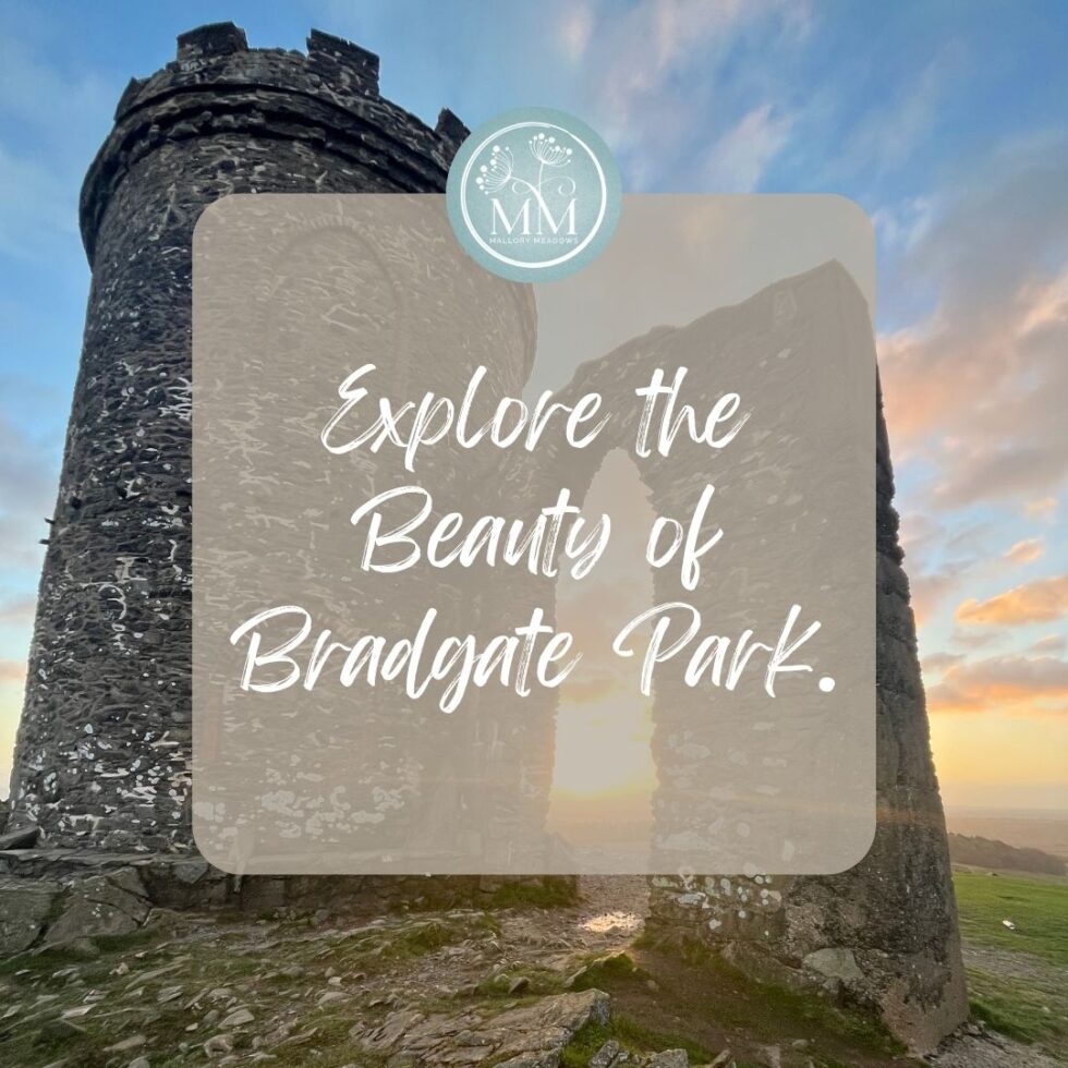 Explore the Beauty of Bradgate Park. - Mallory Meadows